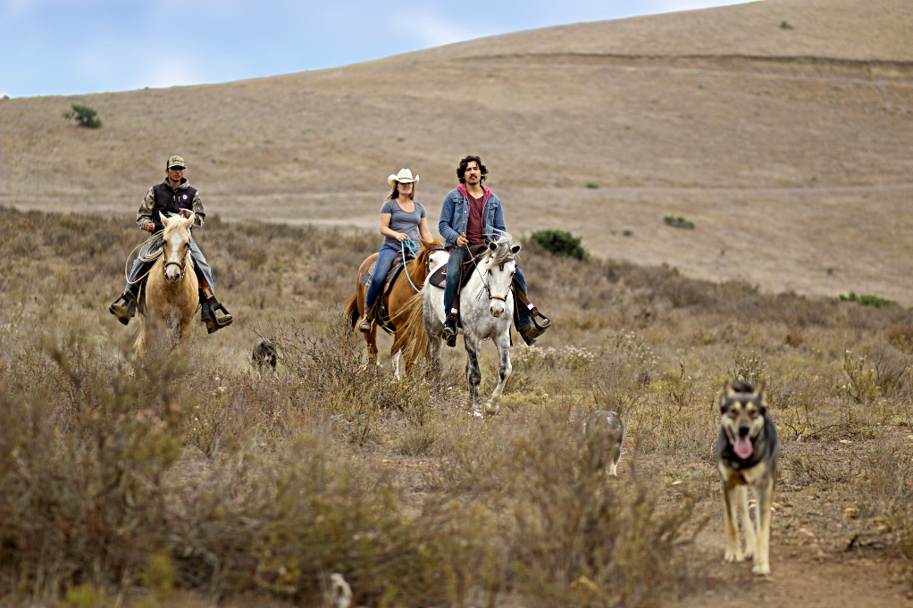 Enjoy a Day in Nature at One of the Ranches - Magical Towns