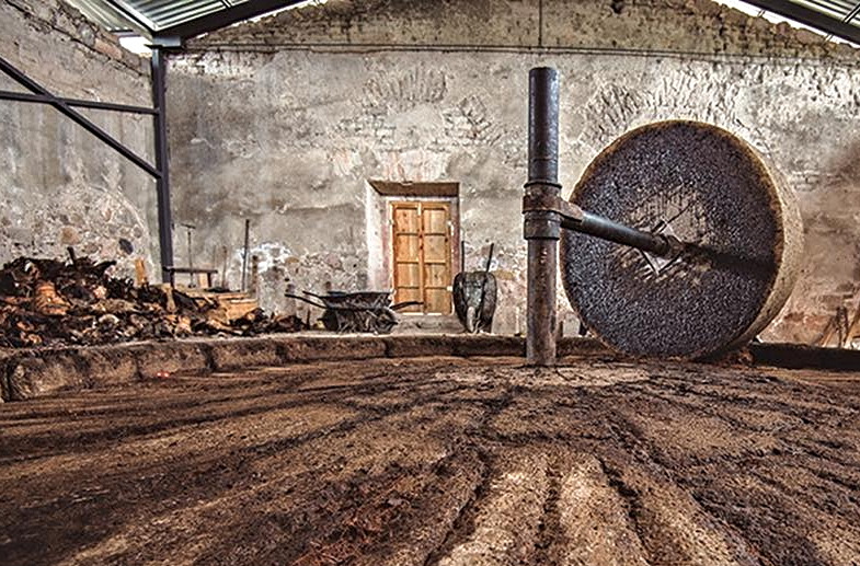 Learn About the Process of Crafting Mezcal - Magical Towns